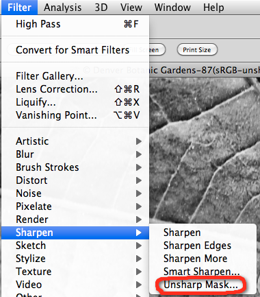 Successful Sharpening » Shutter Hogs